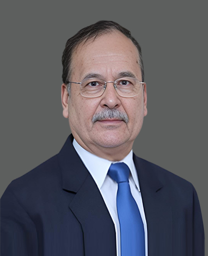 Leadership | Lloyds Metals