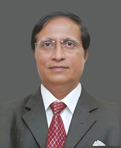 Leadership | Lloyds Metals